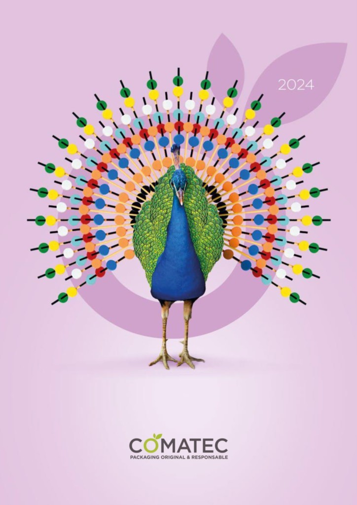 Nos catalogues en ligne